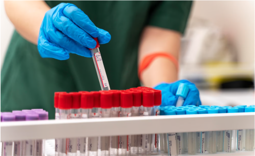 Team Work Training | Member Login